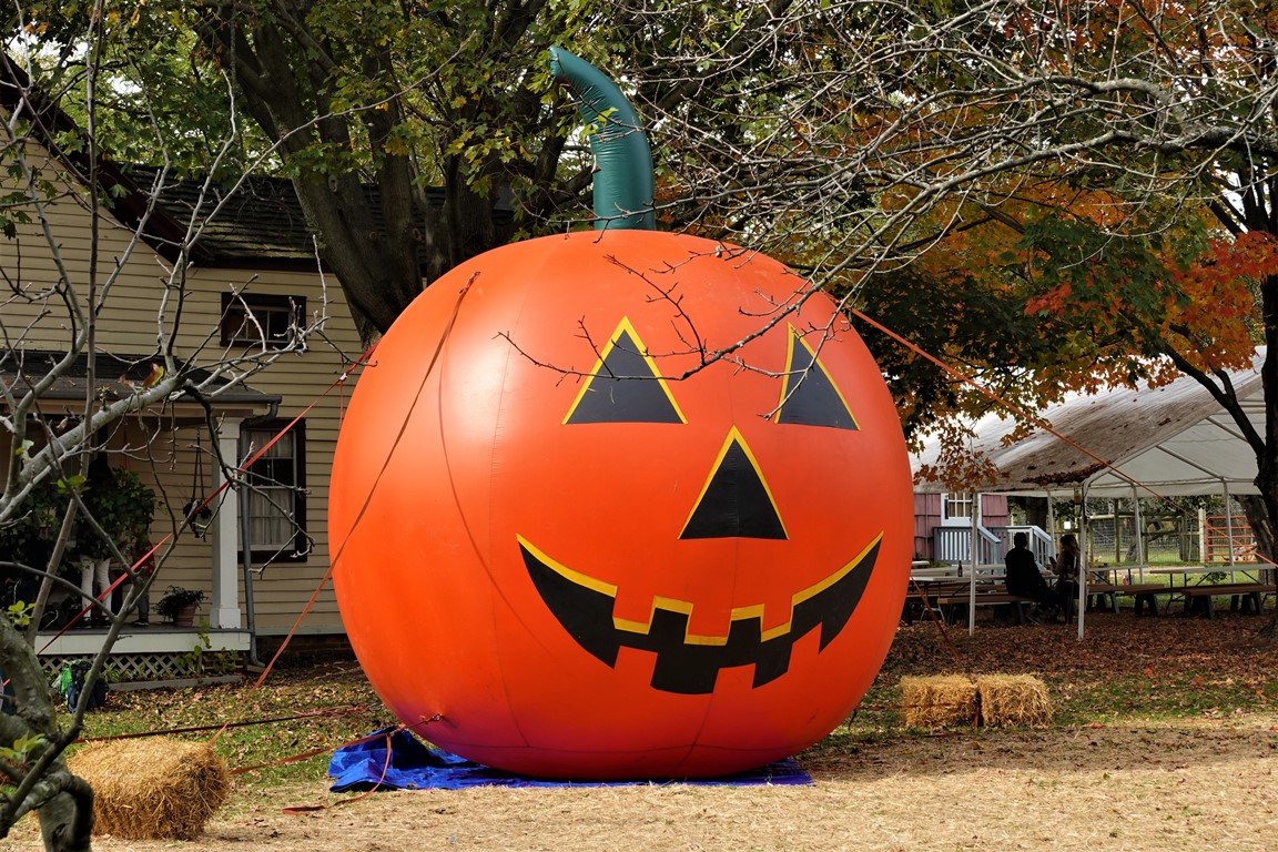 Giant Farm Pumpkin | Photoblog-IKAPP